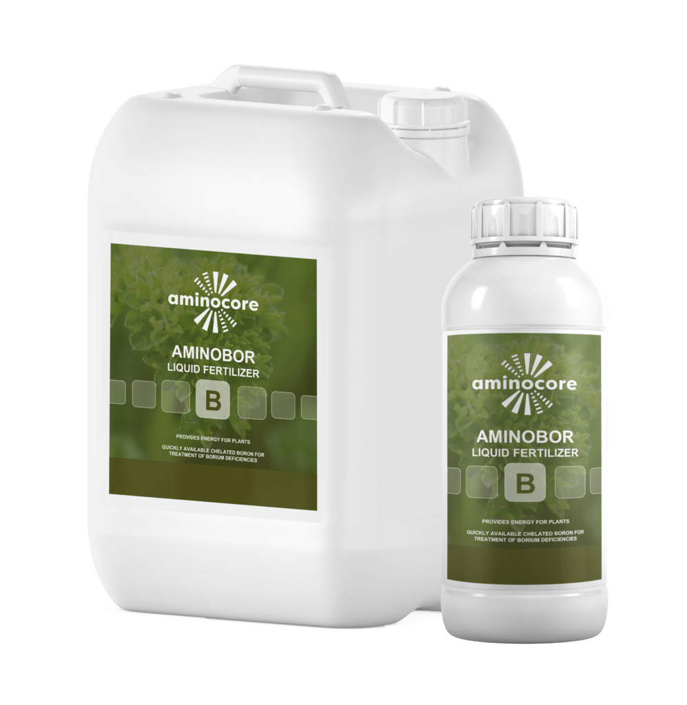 Aminocore AMINOBOR | To stimulate flowering and fruits